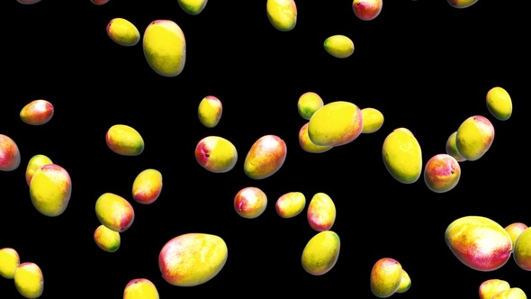 Infinite Rain of Mango on Black, Motion Graphics | VideoHive