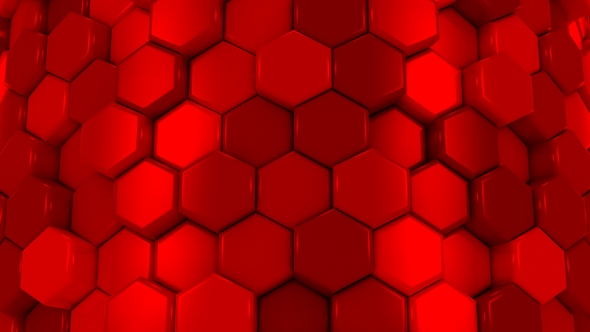 Animated Red Honeycombs, Motion Graphics | VideoHive