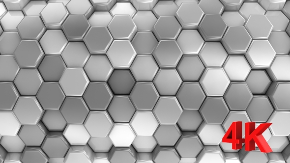 Animated Gray Honeycombs, Motion Graphics | VideoHive