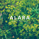 Alara - Creative Google Slide Template, Presentation Templates ...