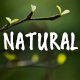Natural Handwritten Font, Fonts | GraphicRiver