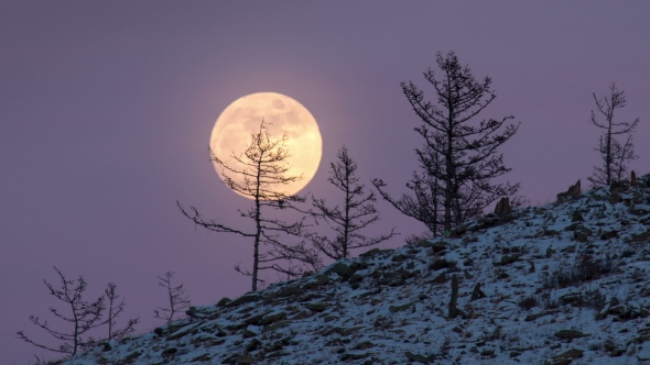 Night Large Full Bright Moon Rises From Above Hill Into Sky., Stock Footage
