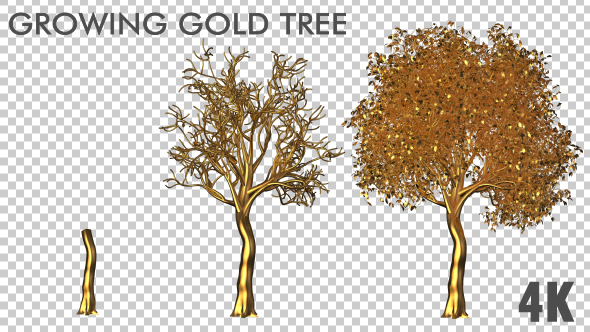 Growing Golden Tree 4K, Motion Graphics | VideoHive