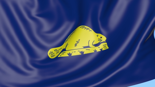 Waving Flag of Oregon Reverse State Against Blue Sky, Motion Graphics