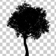 Growing Tree Silhouette Animation, Motion Graphics | VideoHive