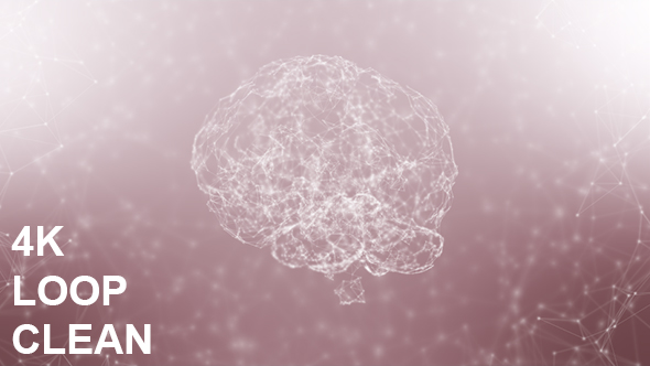 Clean Plexus Brain 4K #3, Motion Graphics | VideoHive
