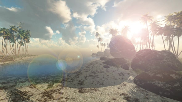 Tropical Island with Palms, Motion Graphics | VideoHive
