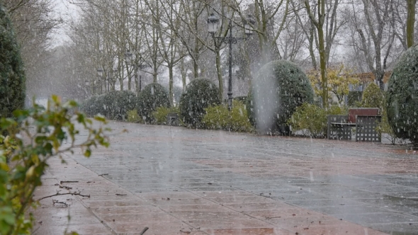 Large Snowflakes Taking Off in the Park, Stock Footage | VideoHive