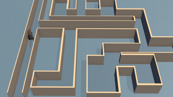 Rat Labyrinthe, Motion Graphics | VideoHive