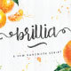 Brillia Script, Fonts | GraphicRiver