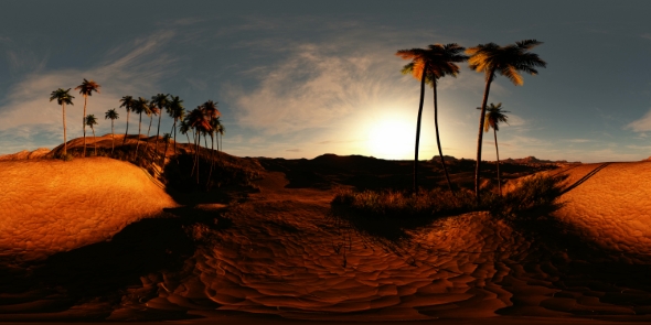VR 360 Degree Panorama of Palms in Desert at Sunset, Motion Graphics