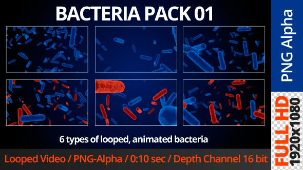 Bacteria Pack 1, Motion Graphics | VideoHive