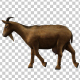Goat Walking, Motion Graphics | VideoHive