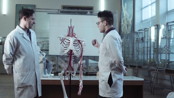 Student and Teacher in Medical Anatomy Class, Stock Footage | VideoHive