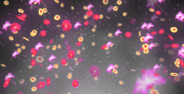 Spring Background 2, Motion Graphics | VideoHive
