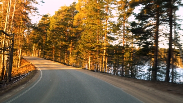 Front View From Driving Car on Road in Pine Tree Forest, Stock Footage