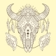 Cow Skull Hand Drawn Vector Illustration, Vectors | GraphicRiver