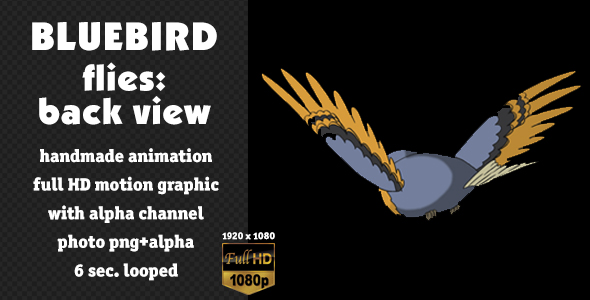 Bluebird Flies - Back View, Stock Footage | VideoHive