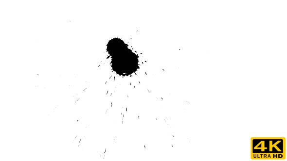 Ink Drop on Dry Paper 09, Stock Footage | VideoHive