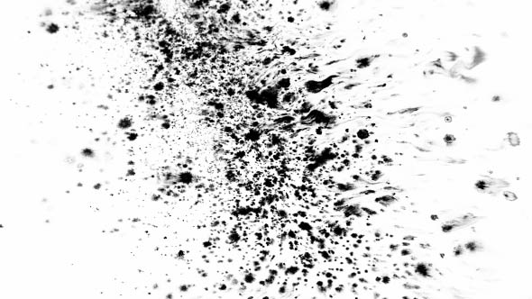 Many Ink Drops on Wet Paper 06, Motion Graphics | VideoHive