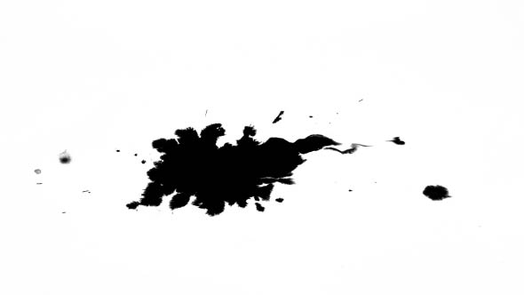 Ink Drops on Wet Paper 58, Motion Graphics | VideoHive