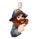 Pirate Pointing, Vectors | GraphicRiver