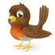 Cartoon Robin Illustration, Vectors | GraphicRiver