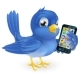 Bluebird with Mobile Phone, Vectors | GraphicRiver