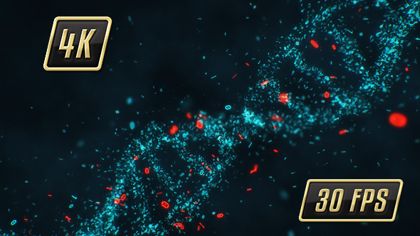 DNA Binary Code, Motion Graphics | VideoHive