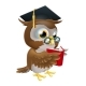 Owl Reading Book, Vectors | GraphicRiver