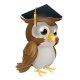 Graduate Owl, Vectors | GraphicRiver
