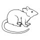 Stylized Rat Illustration, Vectors | GraphicRiver