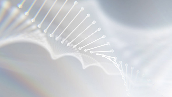 Beauty Science, Motion Graphics | VideoHive