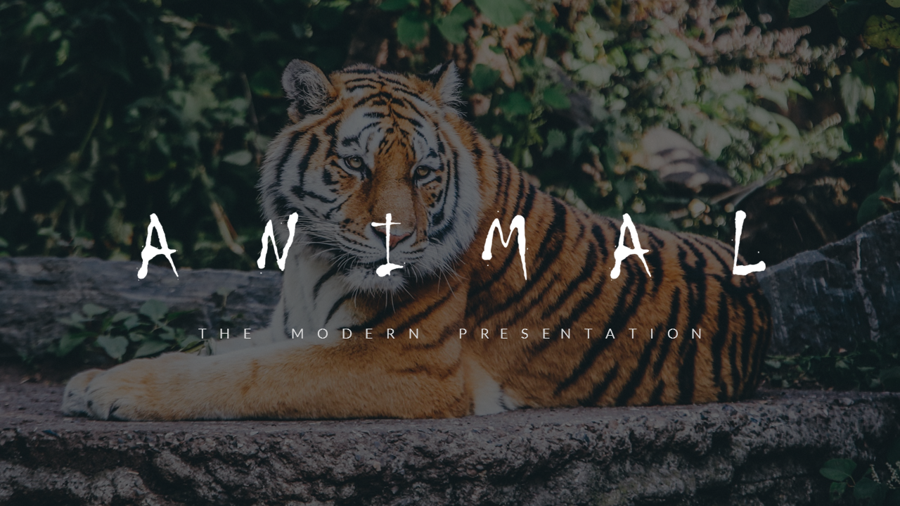 Animal Powerpoint Template, Presentation Templates | GraphicRiver