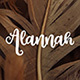 Alannah Script Font, Fonts | GraphicRiver