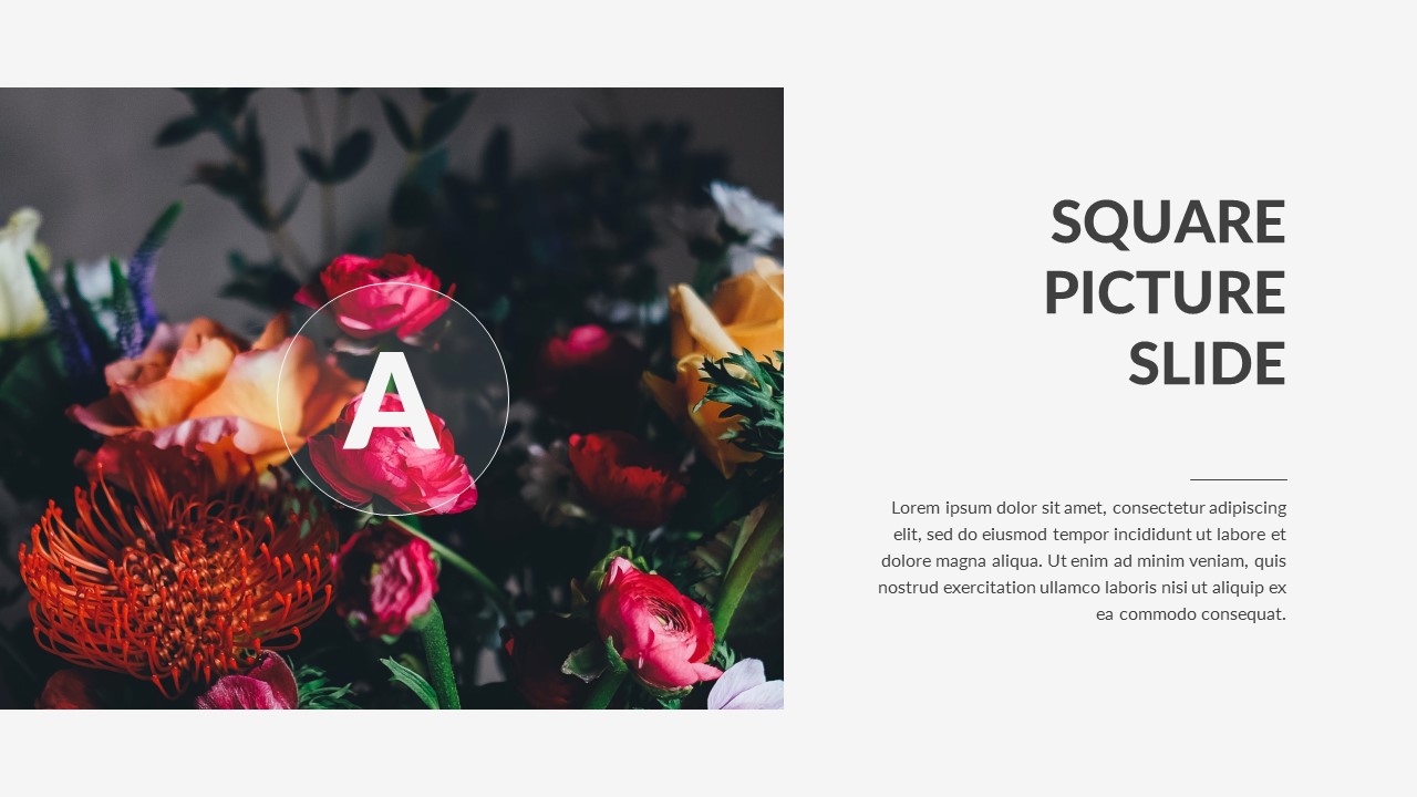 May Bundle - Creative Powerpoint Template by bluestack | GraphicRiver