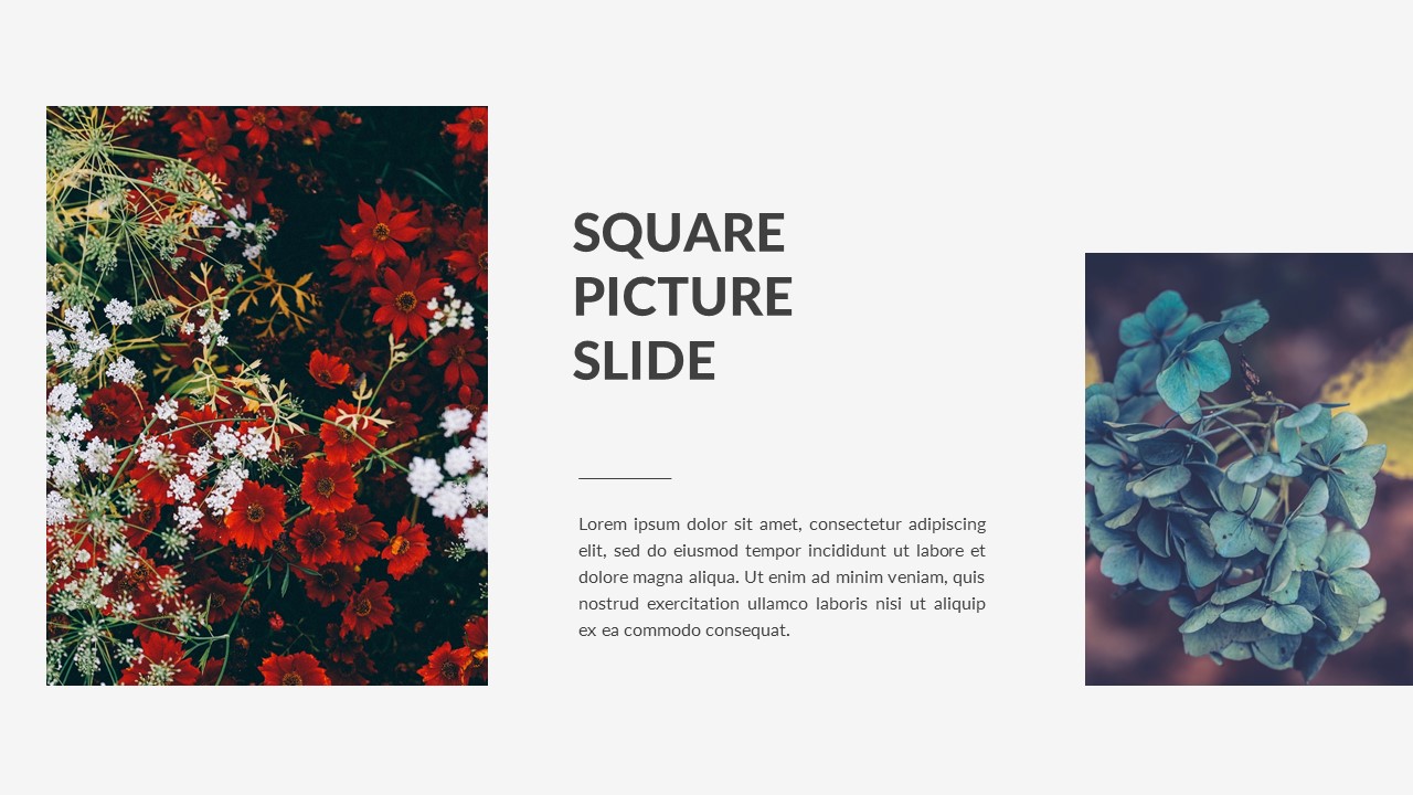 May Bundle - Creative Powerpoint Template, Presentation Templates ...