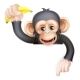 Banana Chimp Monkey Pointing, Vectors | GraphicRiver