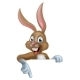 Easter Bunny Rabbit Pointing Down, Vectors | GraphicRiver
