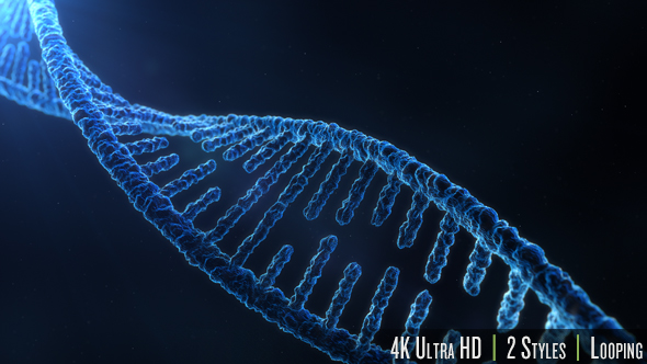 DNA Molecule Structure 4K, Motion Graphics | VideoHive