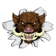 Boar Warthog Sports Mascot, Vectors | GraphicRiver