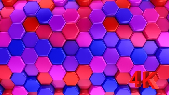 Animated Colored Hexagons, Motion Graphics | VideoHive