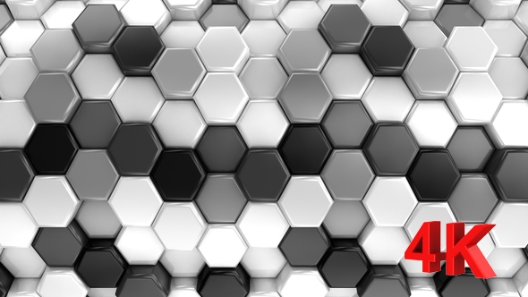 Animated Hexagons, Motion Graphics | VideoHive
