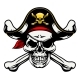 Skull and Crossbones Pirate, Vectors | GraphicRiver
