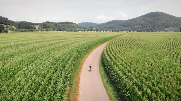 Cyclist riding bicycle through green corn fields, Stock Footage | VideoHive