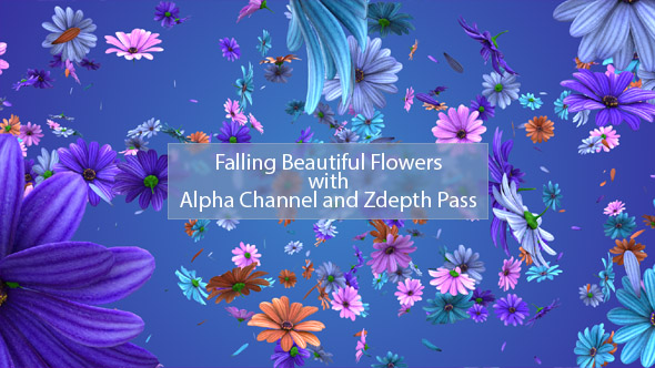 Falling Beautiful Flowers, Motion Graphics | VideoHive