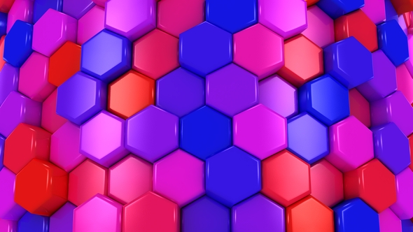 Animated Colored Hexagons, Motion Graphics | VideoHive