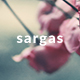 Sargas - Minimal Google Slide Template, Presentation Templates ...