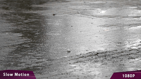 Rain, Stock Footage | VideoHive