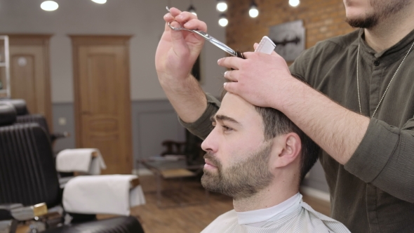Man Hairdresser Doing Haircut Beard Adult Men in the Men's Hair Salon ...